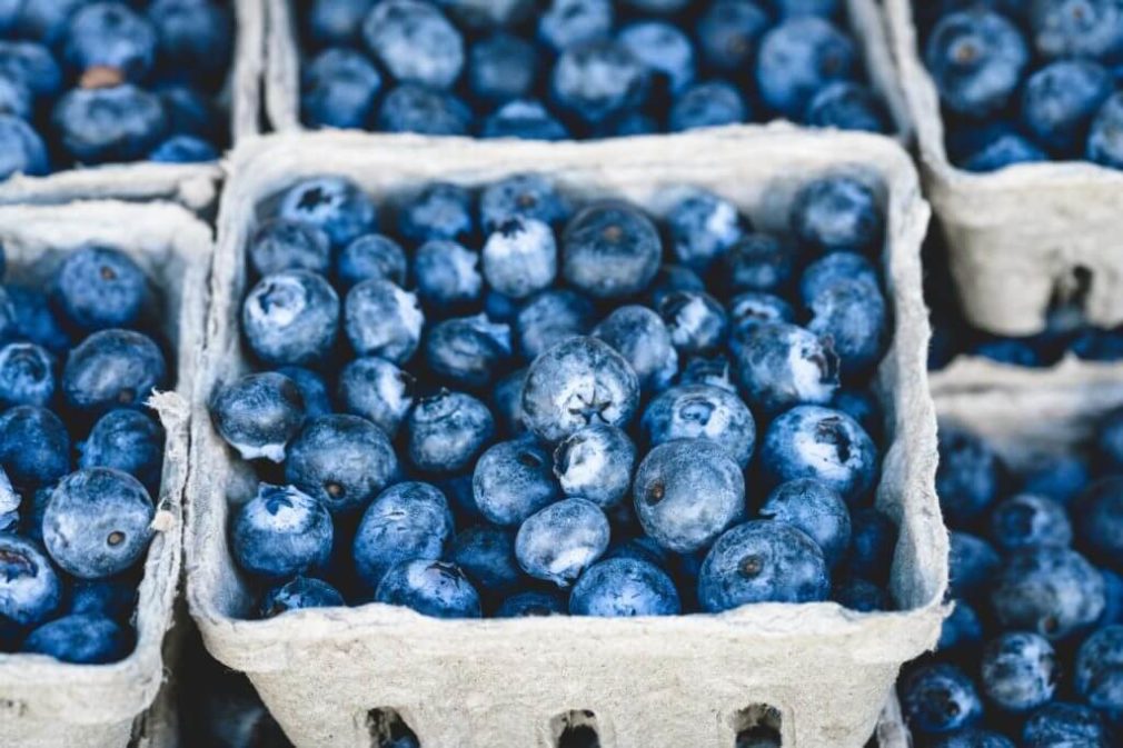 Three Ways To Eat Blueberries: Drinks, Jellies & More