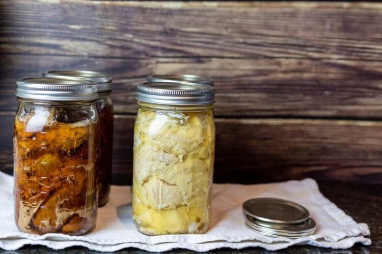 Traditional Amish Canning Recipes & Water Bath Tips